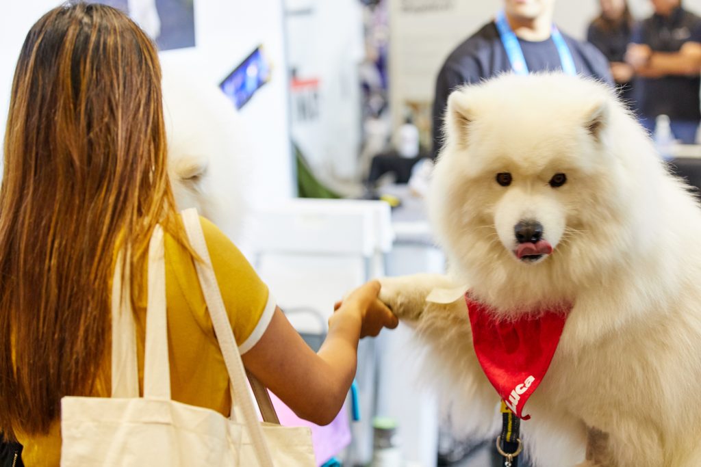 Dog Breed Showcase | Dog Lovers Festival Sydney 2026